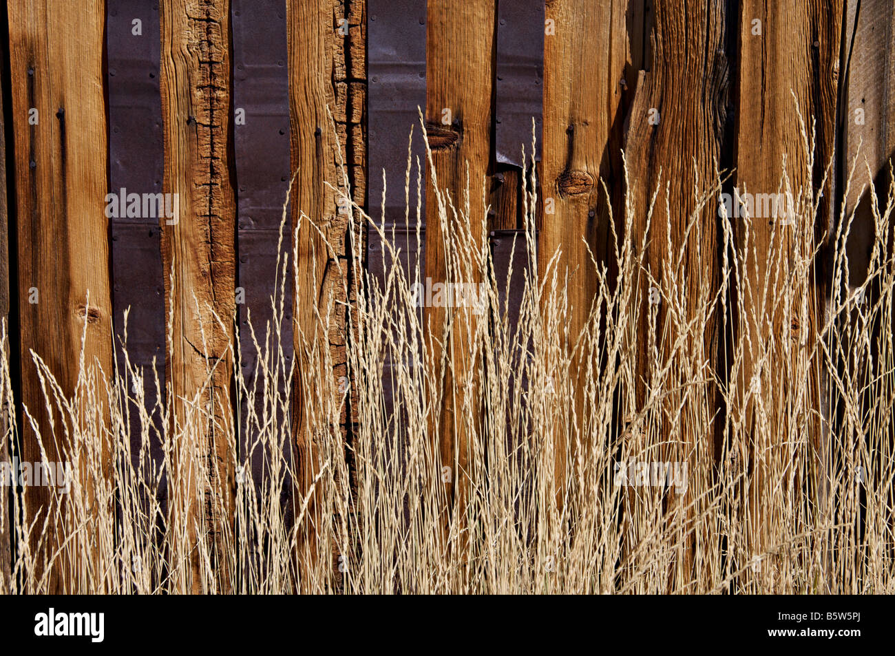 Contrasting timber hi-res stock photography and images - Alamy