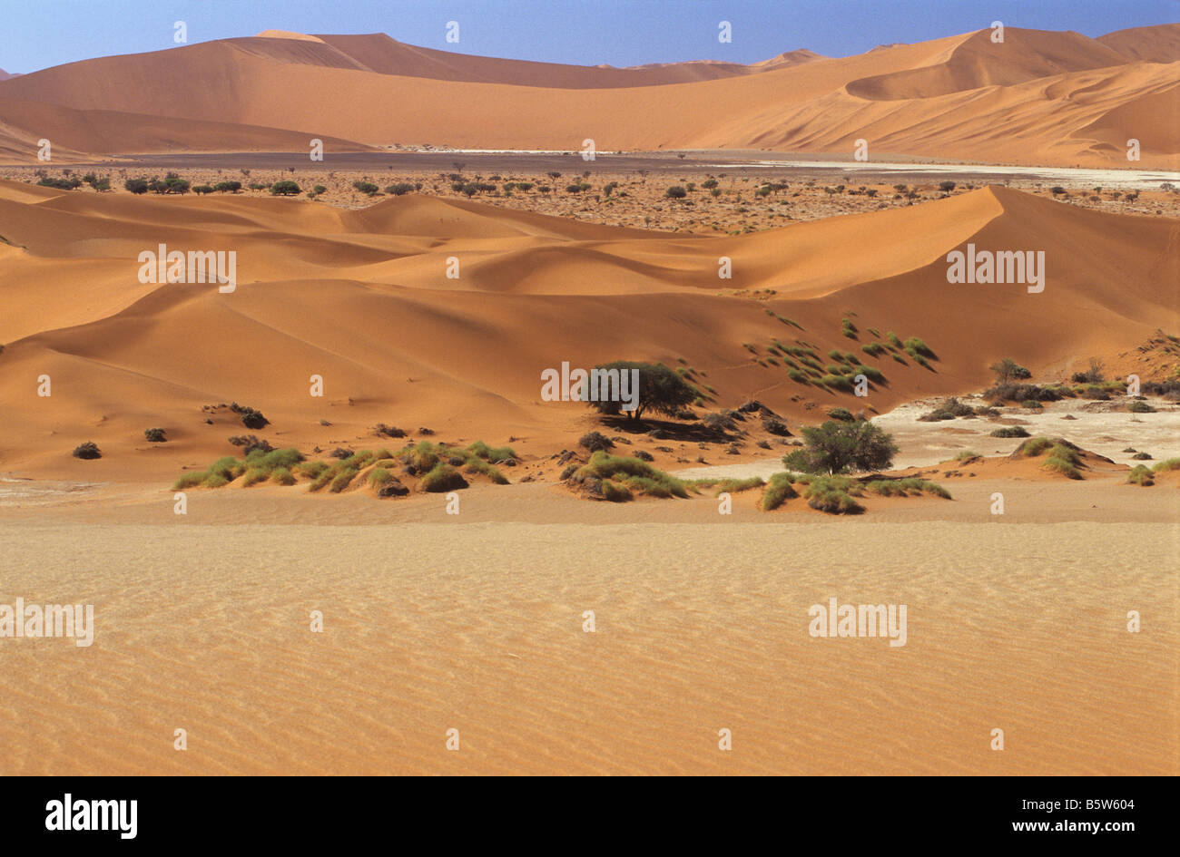 Namibia : Sossusvlei Stock Photo - Alamy