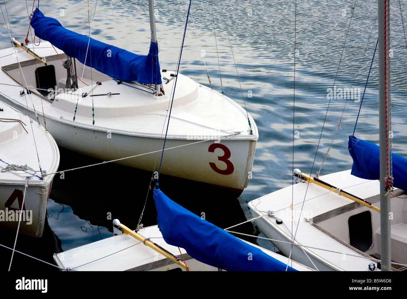 Sailboats tied together at a dock Stock Photo - Alamy
