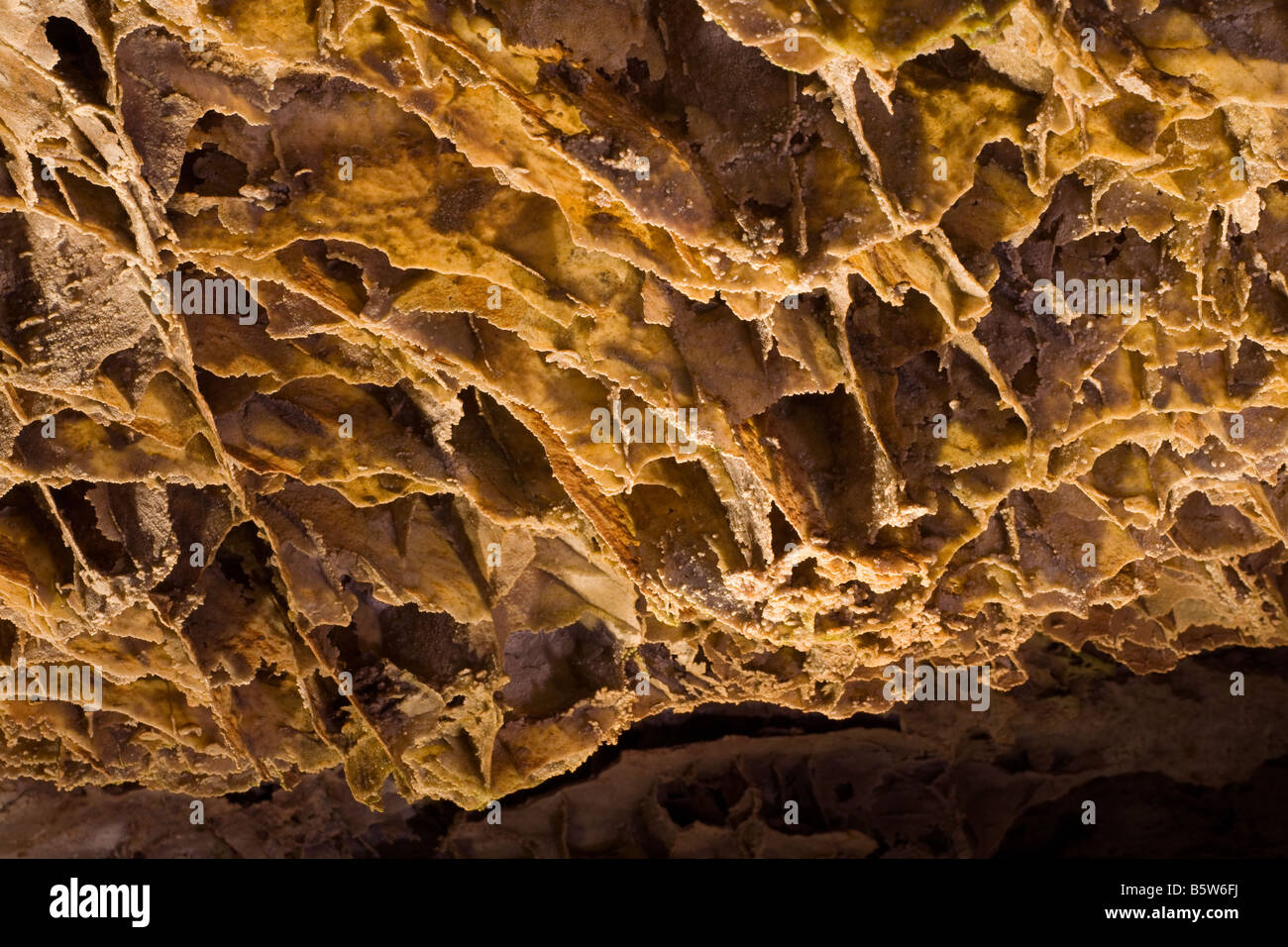 boxwork, Wind Cave National Park, South Dakota Stock Photo - Alamy