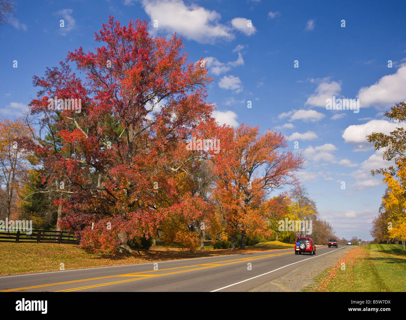 LOUDOUN COUNTY VIRGINIA USA Colorful fall foliage on trees along Route ...