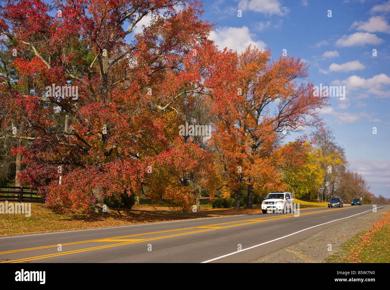 LOUDOUN COUNTY VIRGINIA USA Colorful fall foliage on trees along Route ...
