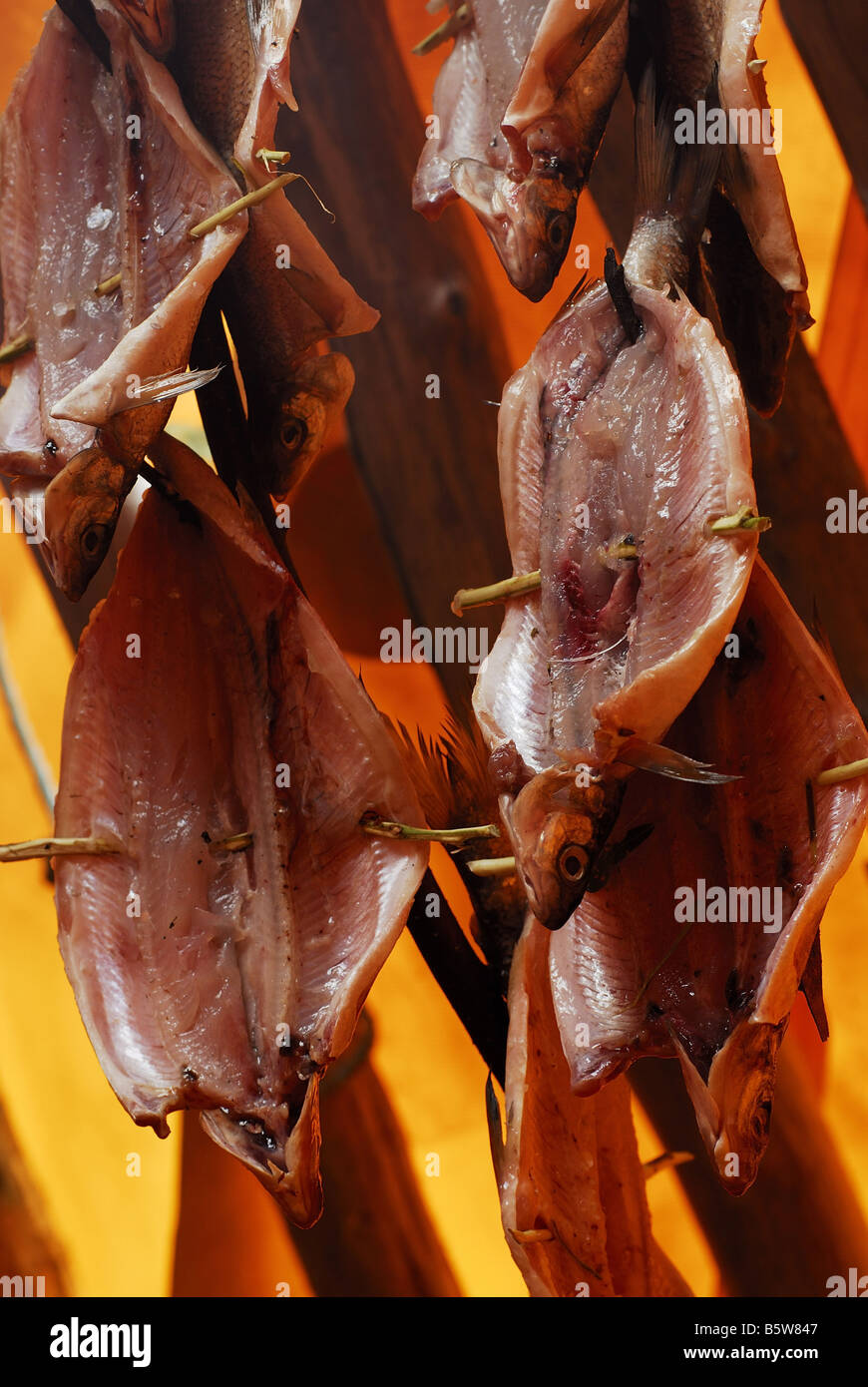 salted fish, suspended for smoking in a Sami tent Kote Stock Photo - Alamy