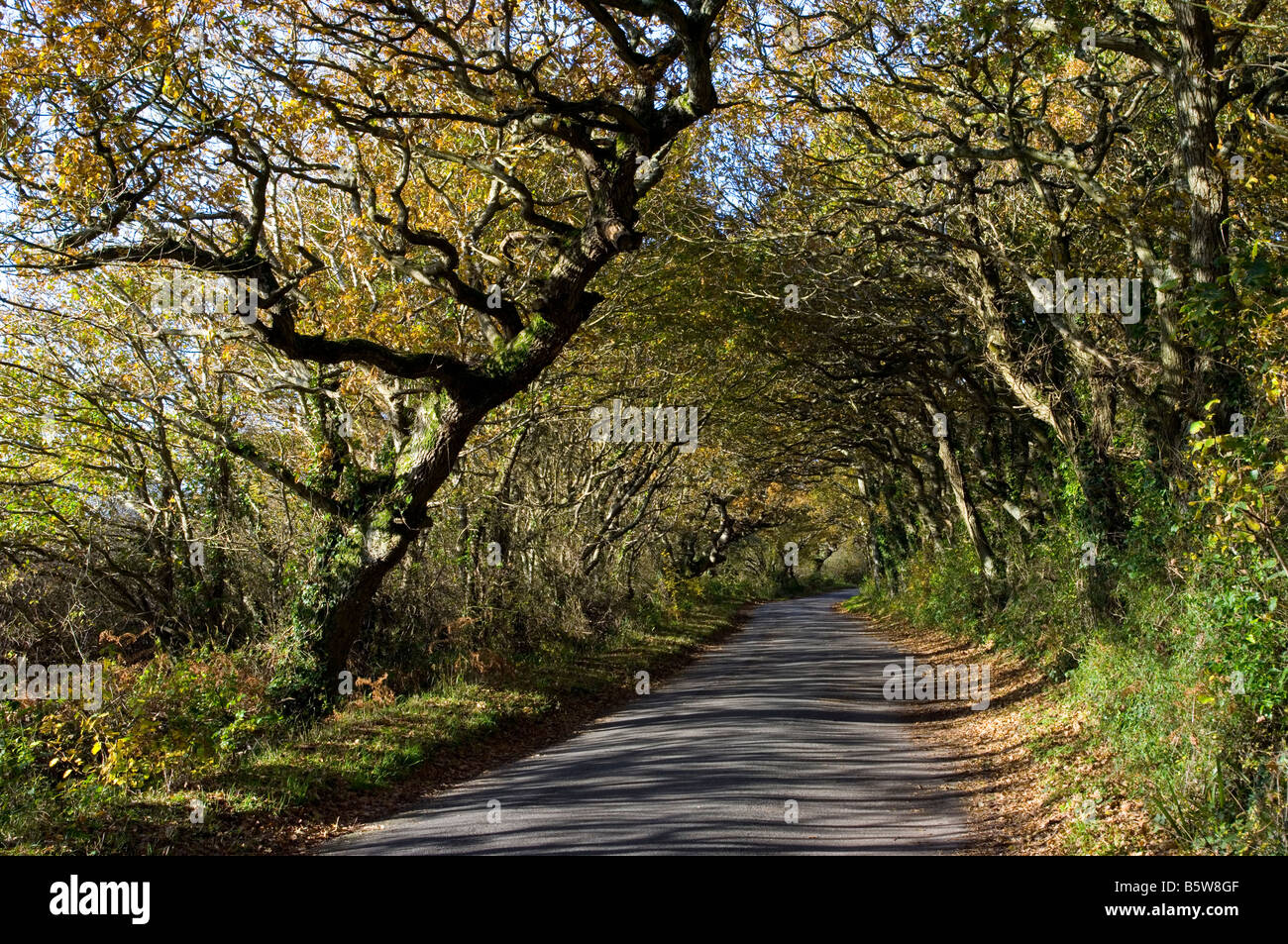 Newtown road hi-res stock photography and images - Alamy