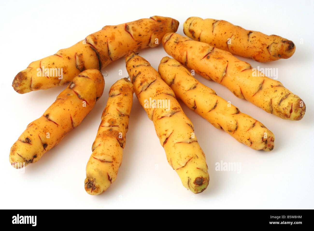 Oca oxalis tuberosa tropical tuber hi-res stock photography and images ...