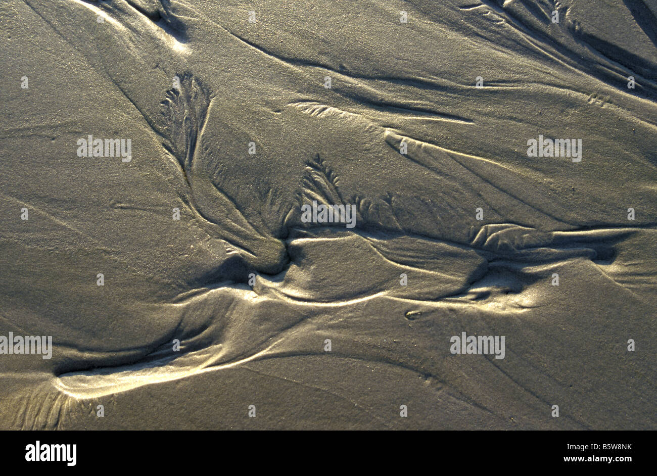 Sand structur hi-res stock photography and images - Alamy