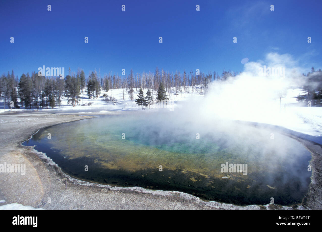 Yellowstone national park - Beauty Pool Stock Photo - Alamy