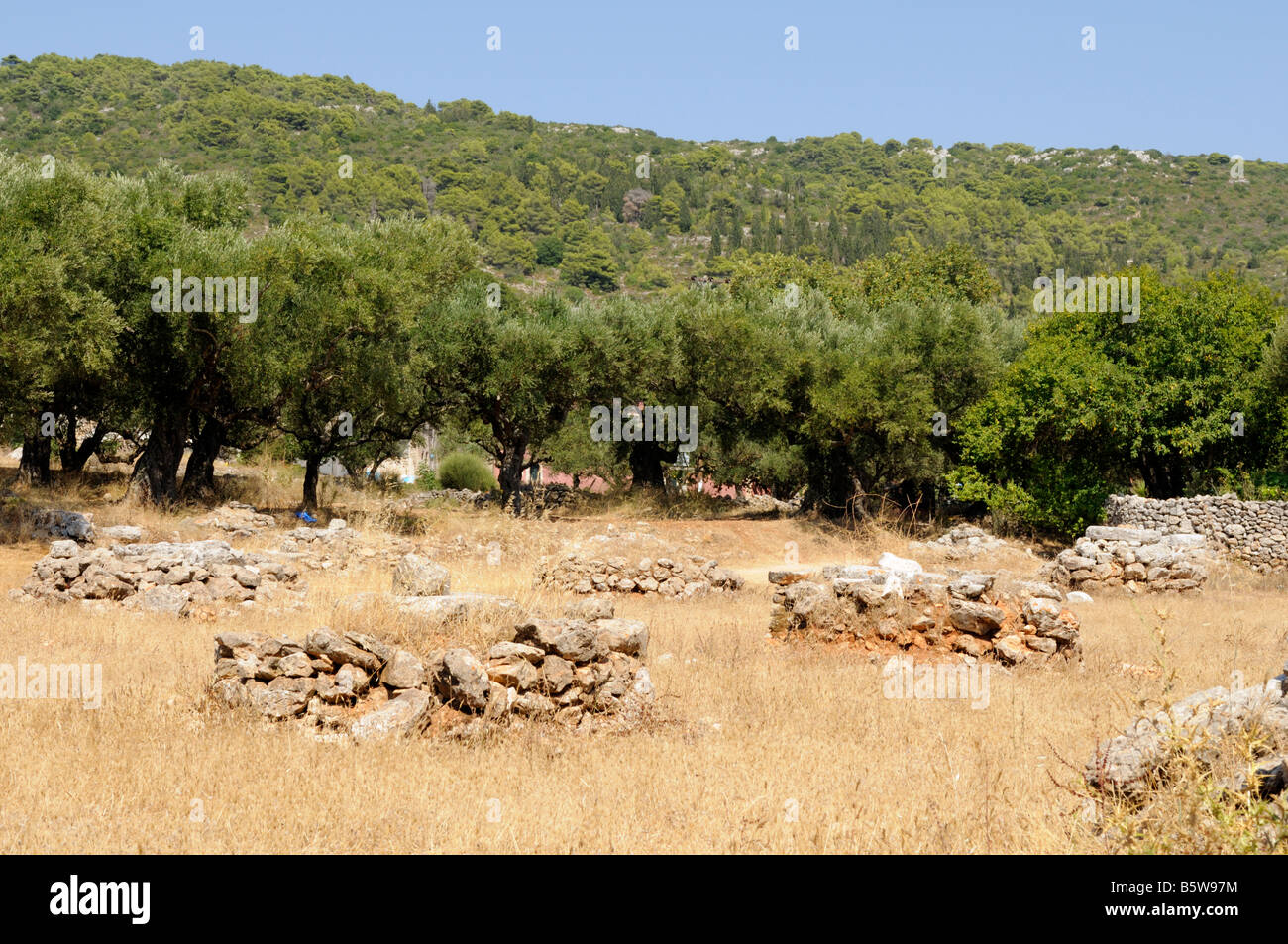 Agala hi-res stock photography and images - Alamy