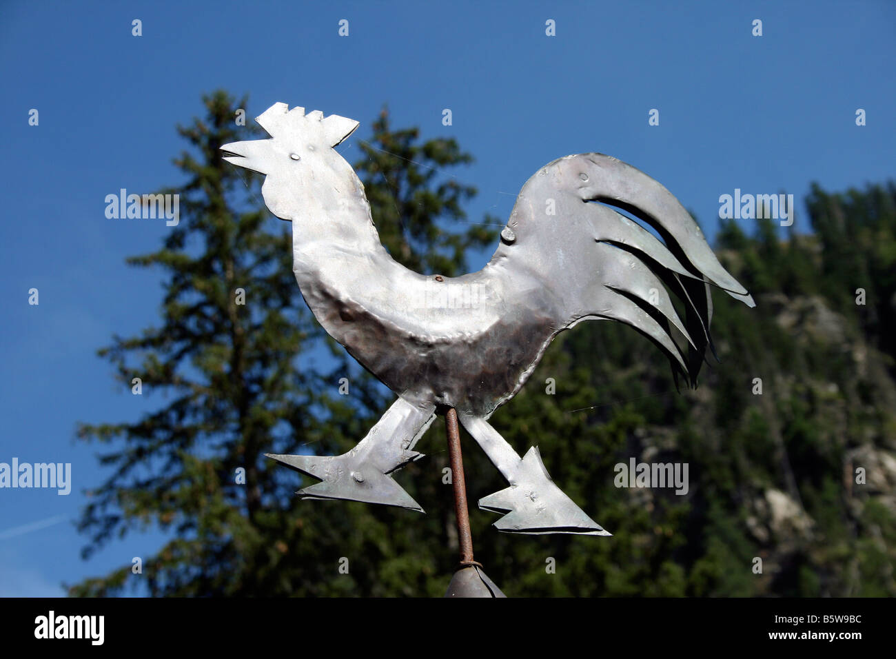 Cockerel weather vane Stock Photo - Alamy
