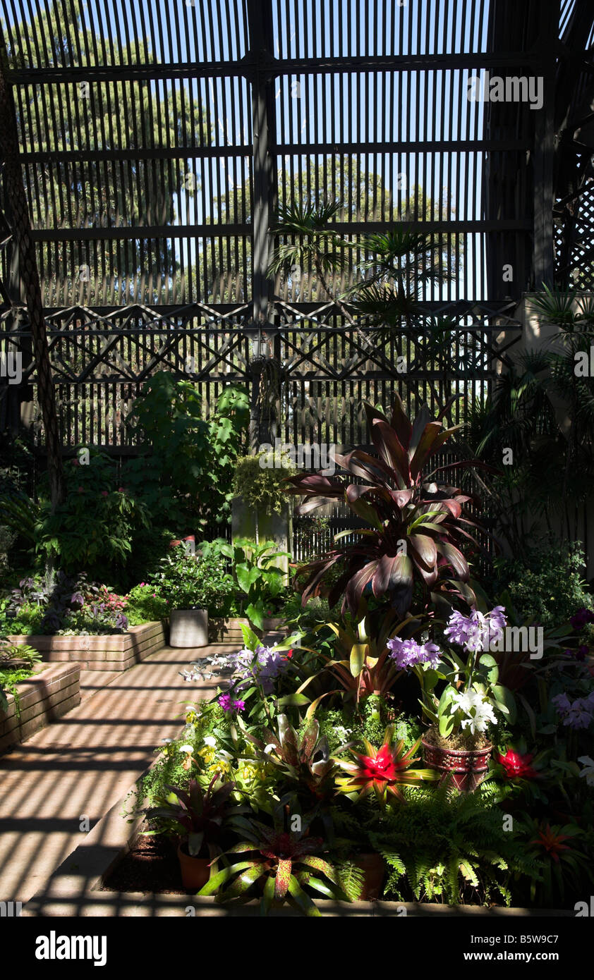 The Botanical Building (Interior View) at Balboa Park, San Diego ...