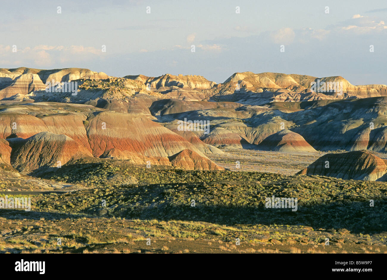A view of the eroded hills and gullies of Painted Desert Petrified ...