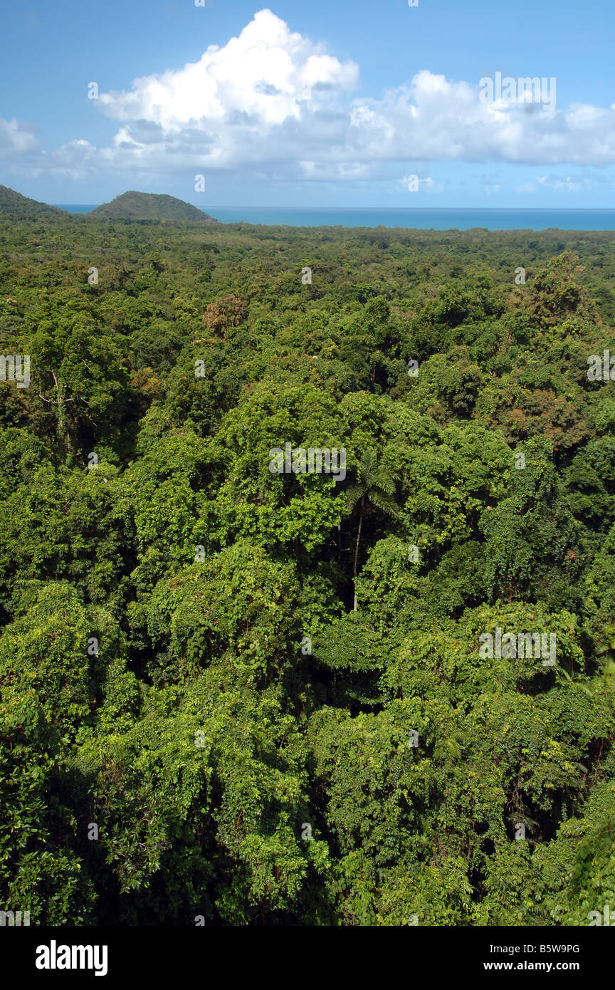 View over Daintree rainforest canopy towards Cape Tribulation and the ...