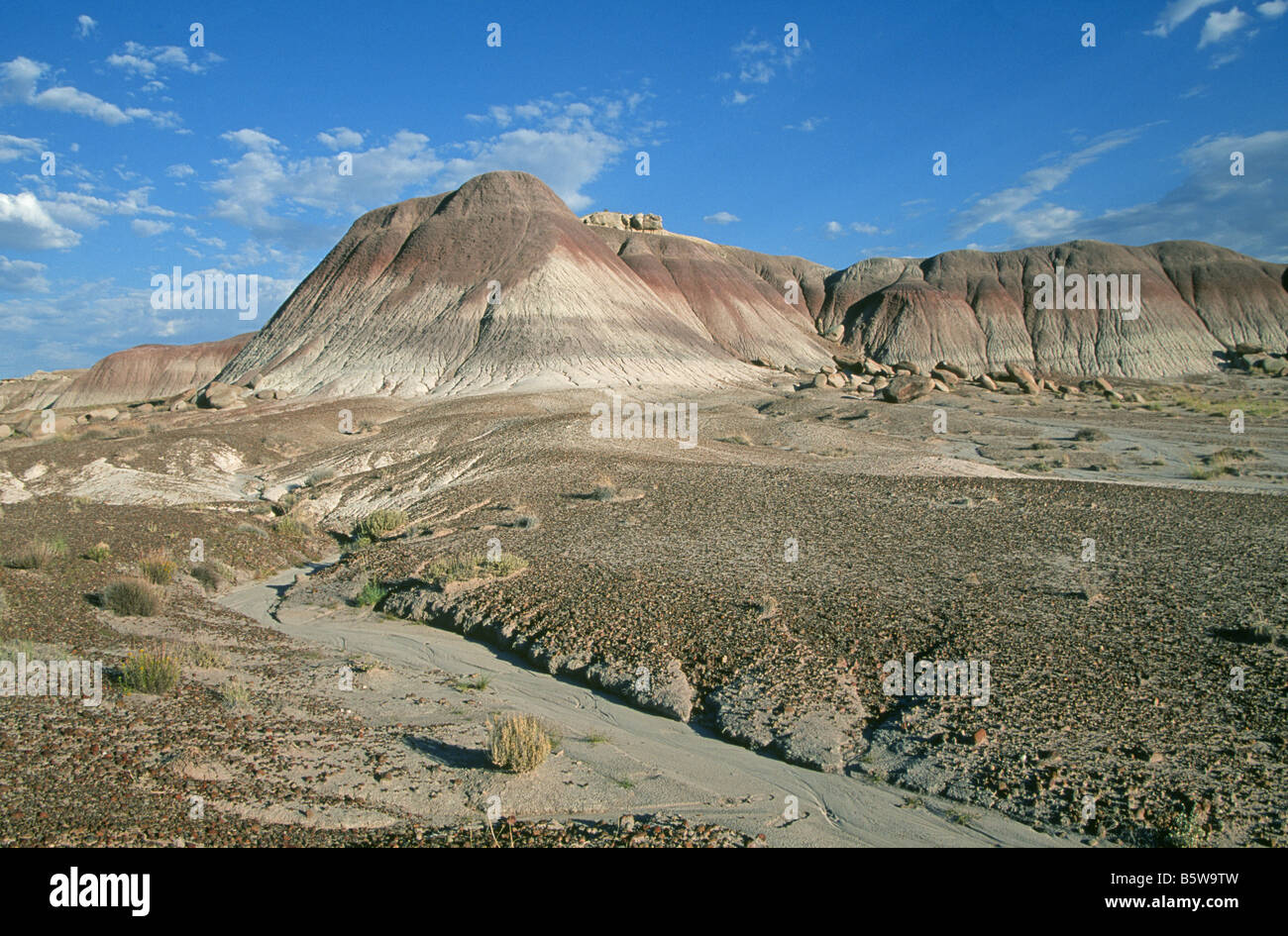 Petrified mud hi-res stock photography and images - Alamy