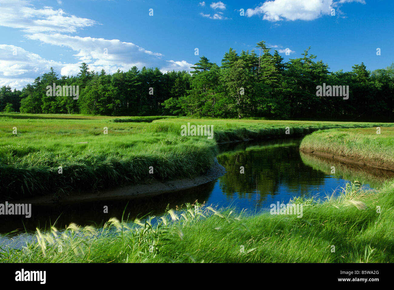 Rachel marsh hi-res stock photography and images - Alamy
