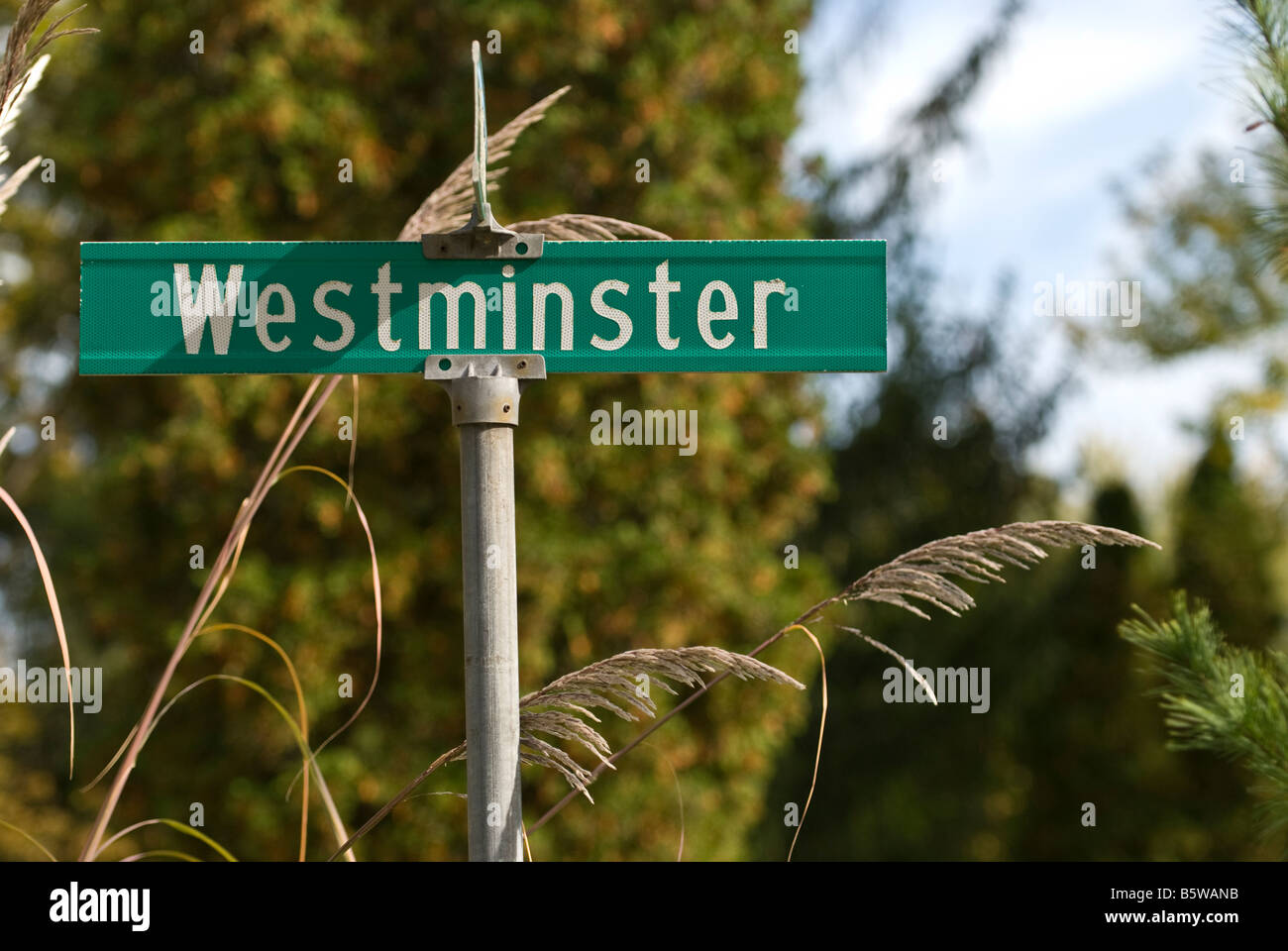 Palace green westminster hi-res stock photography and images - Alamy