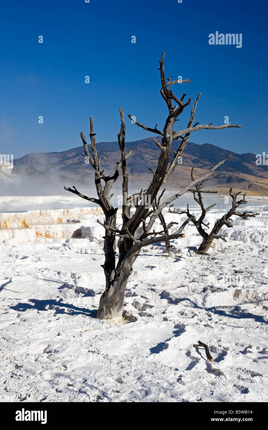 Yellowstone landscape photography hi-res stock photography and images ...