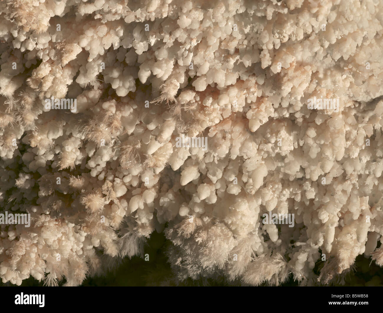 popcorn and frostwork, Wind Cave National Park, South Dakota Stock ...