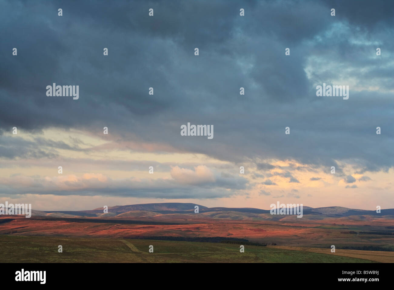 Cheviot range hi-res stock photography and images - Alamy