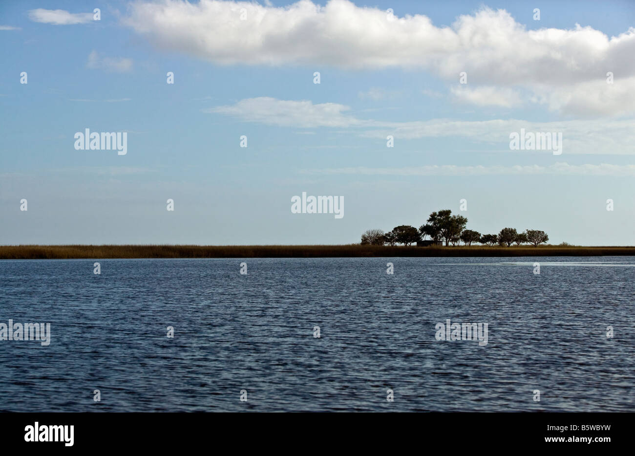 Savannah georgia marsh hi-res stock photography and images - Alamy