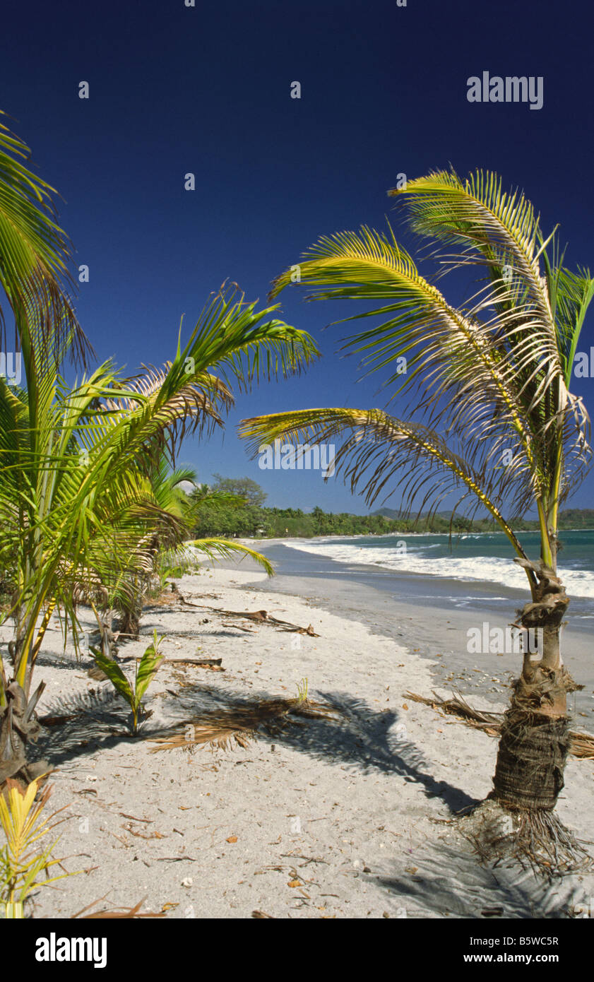 Playa Samara Peninsula Nicoya Costa Rica Central America Stock Photo ...
