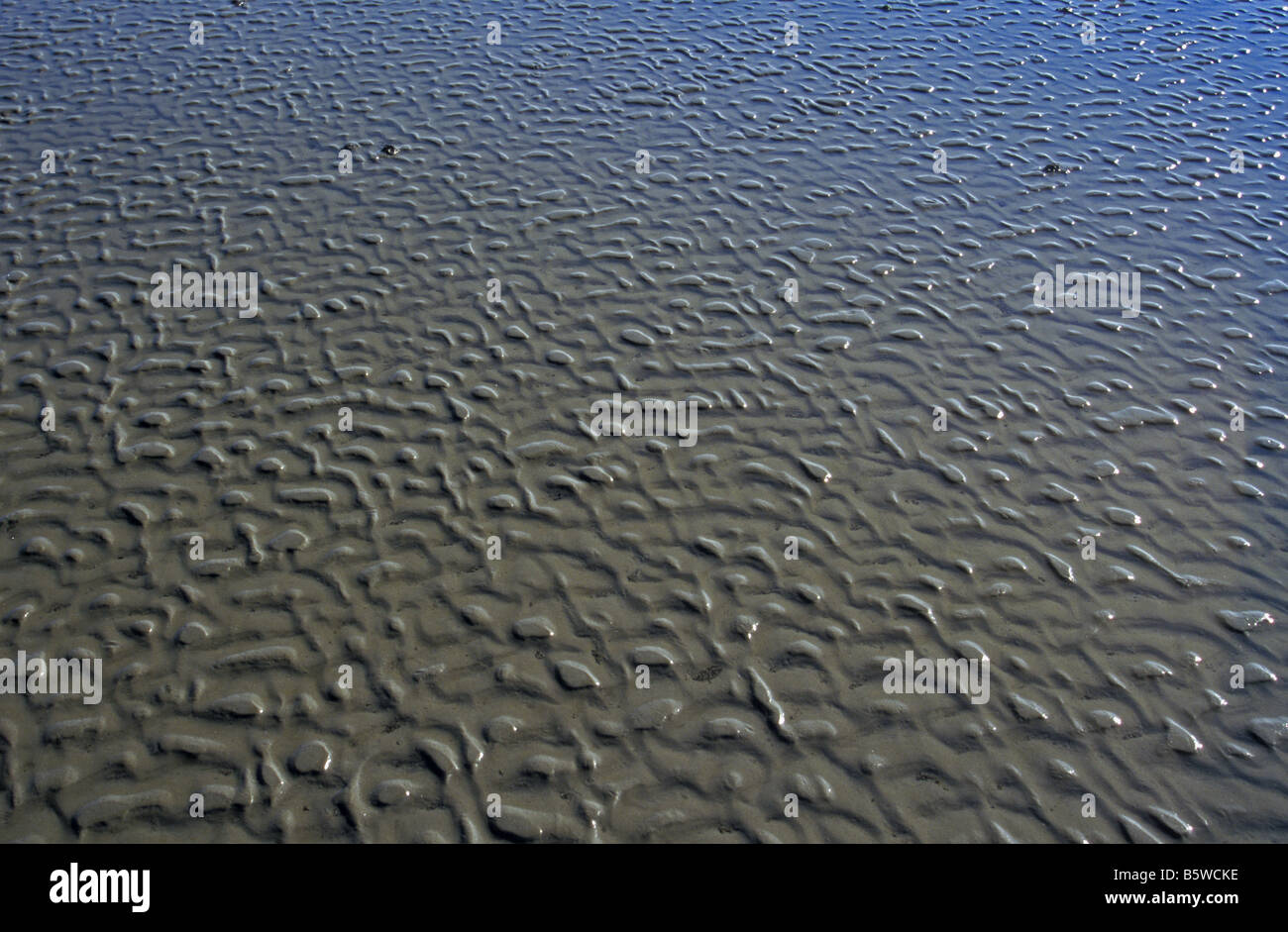 Sand structur hi-res stock photography and images - Alamy