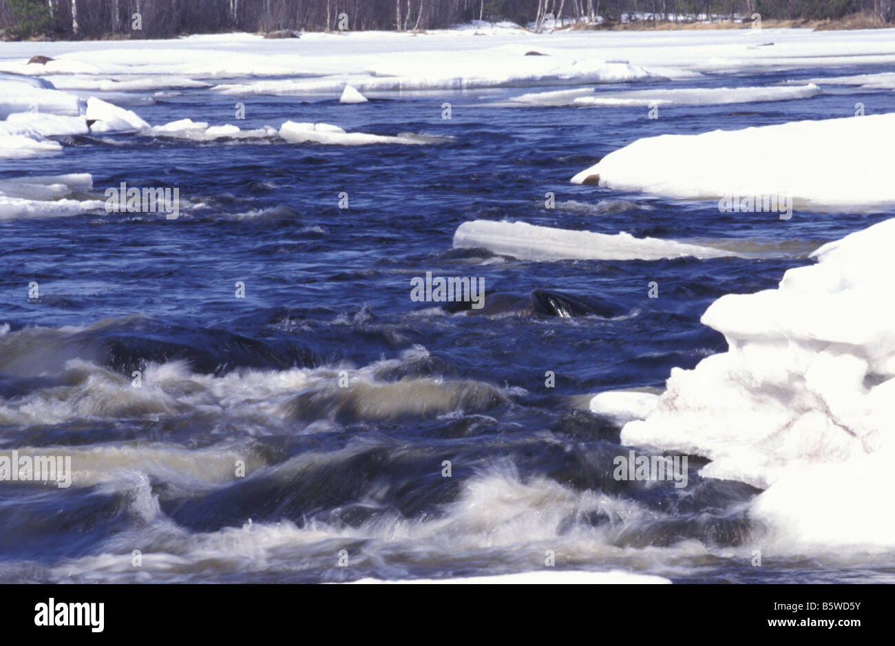 Sweden - river flowing through ice Stock Photo - Alamy