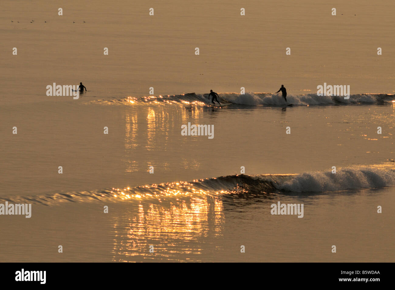 Catch the Golden Wave - surfers waiting for and catching waves in the ...
