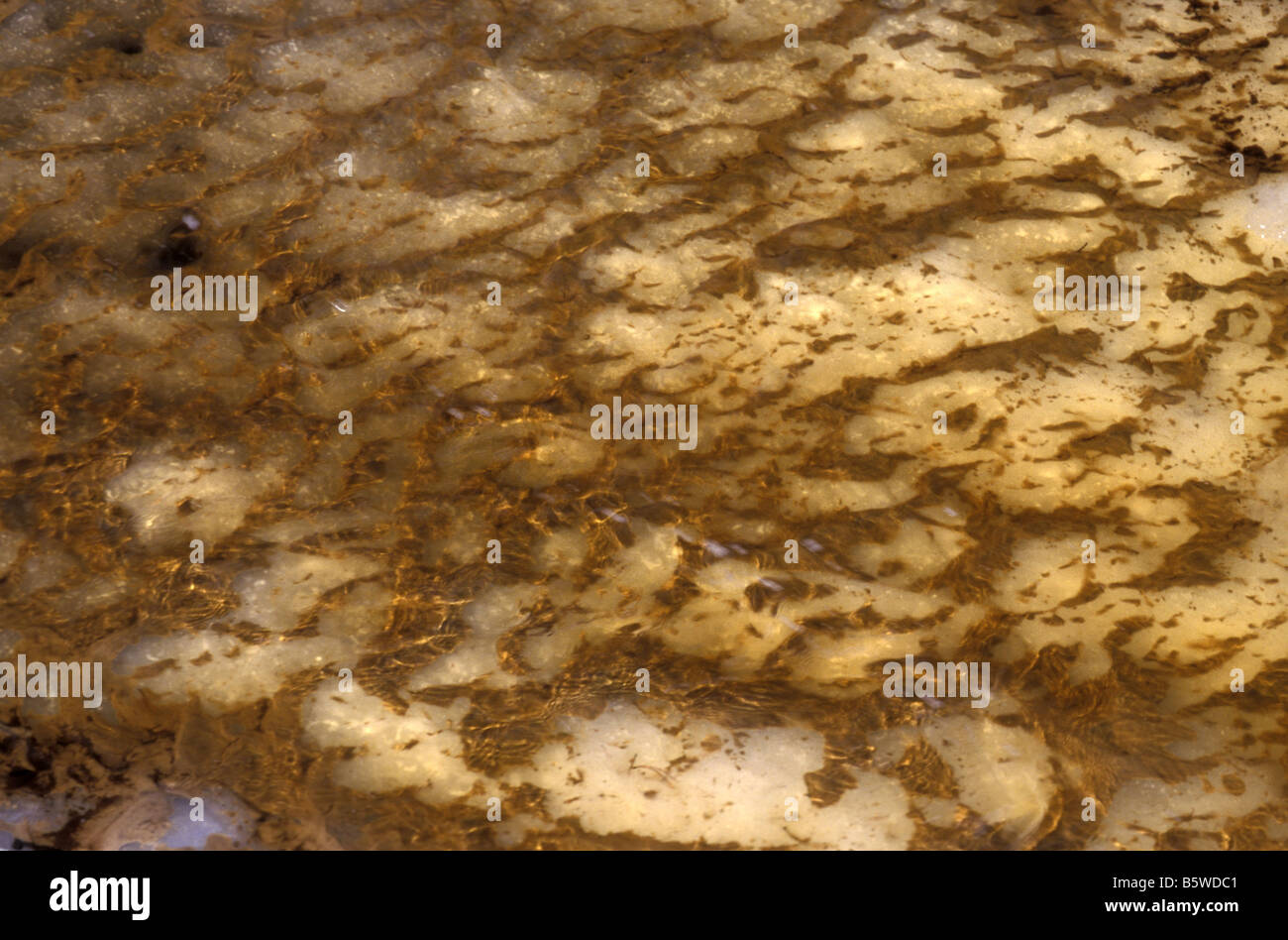 sand under water in a river Stock Photo - Alamy