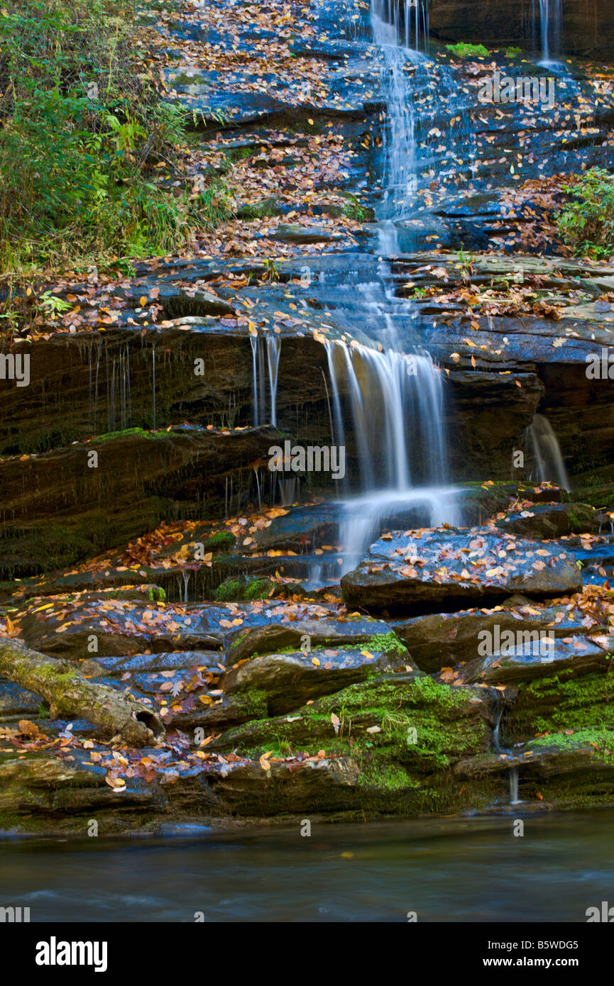Photo of a mountain stream and waterfall with fall colors reflecting in ...