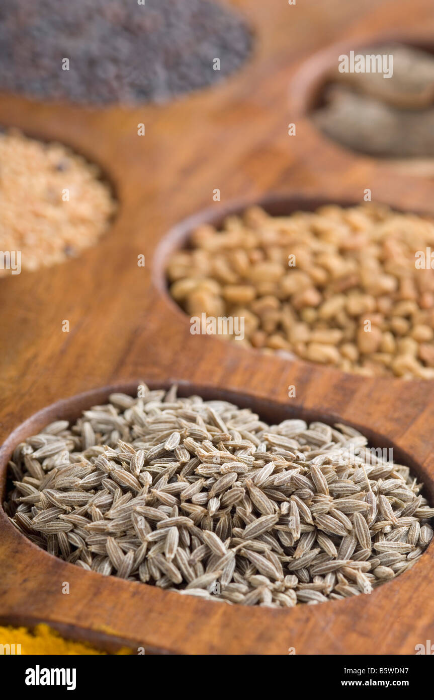 Cumin mustard seeds hi-res stock photography and images - Alamy