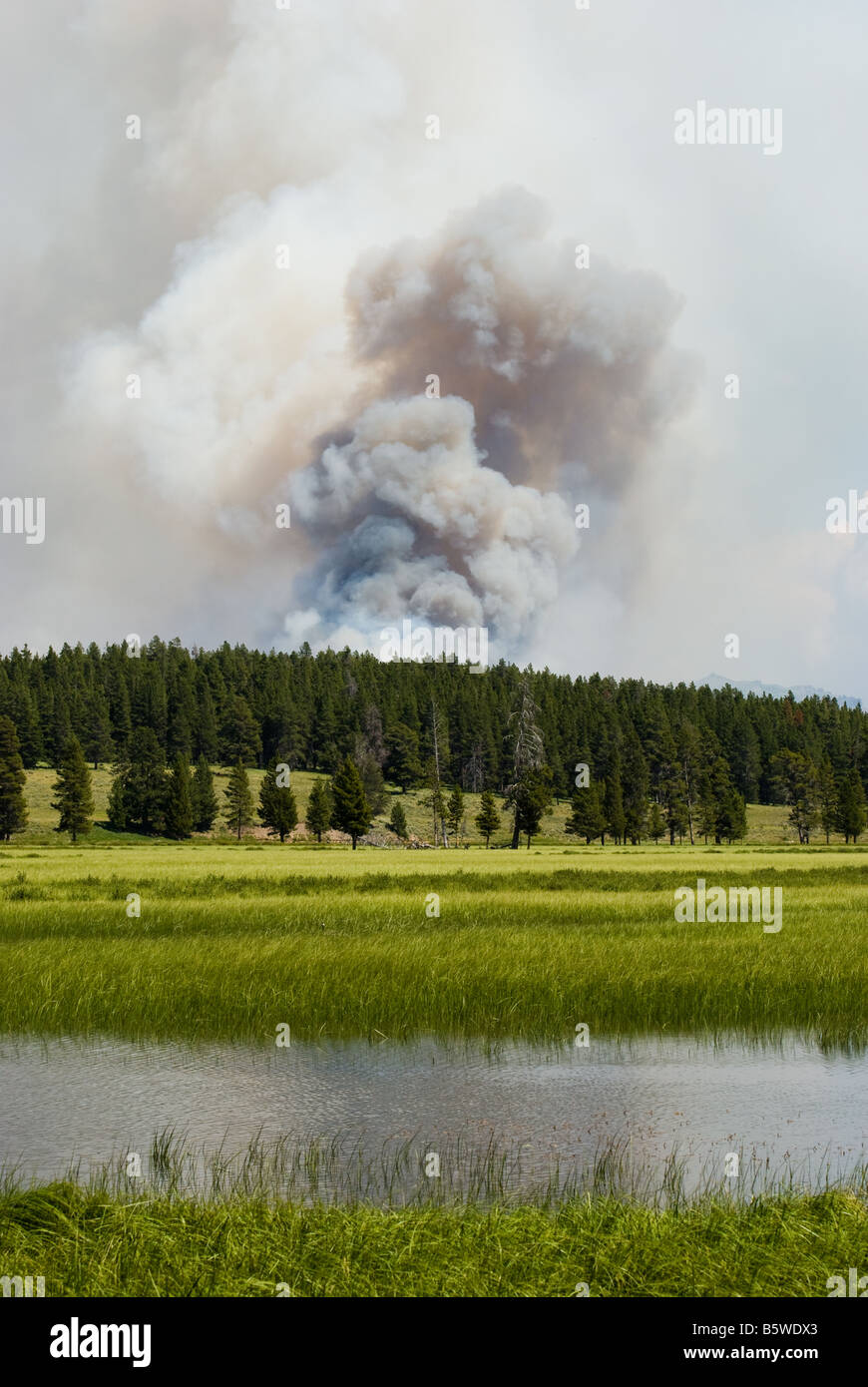 Smoke plume hi-res stock photography and images - Alamy
