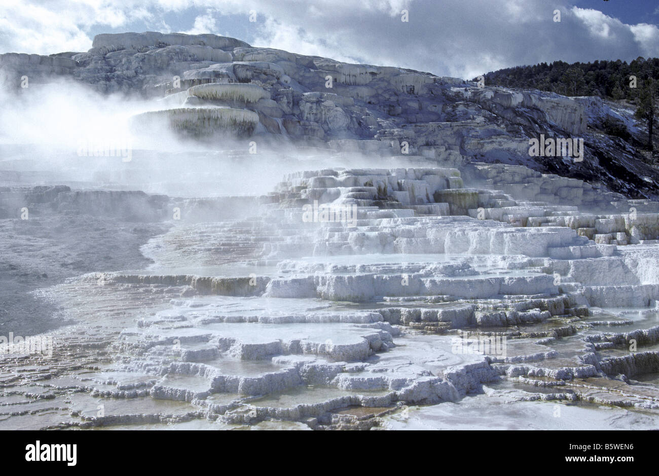 Yellowstone national park - Minerva Spring Terraces Stock Photo - Alamy
