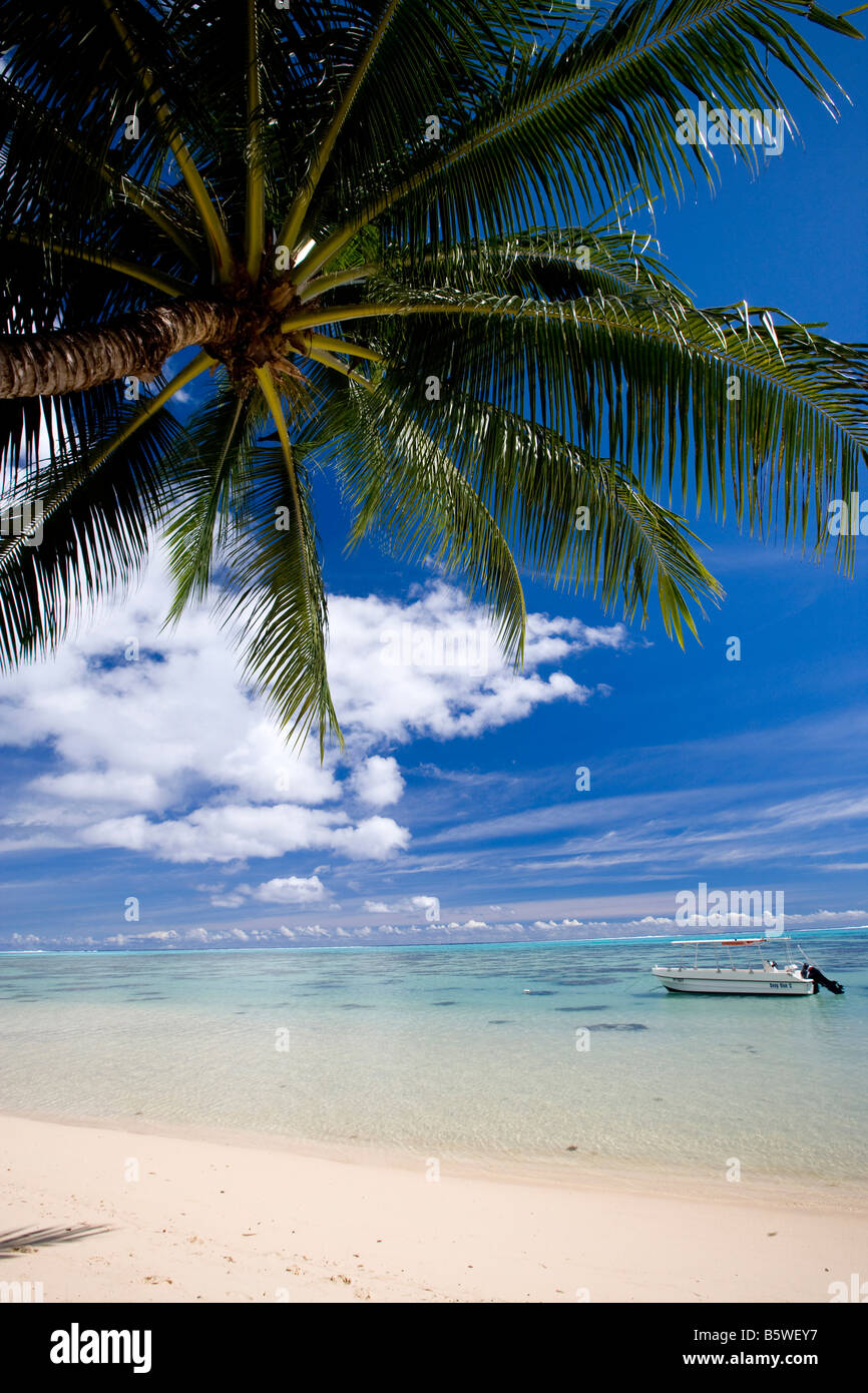 Mo'orea island sand beach hi-res stock photography and images - Alamy