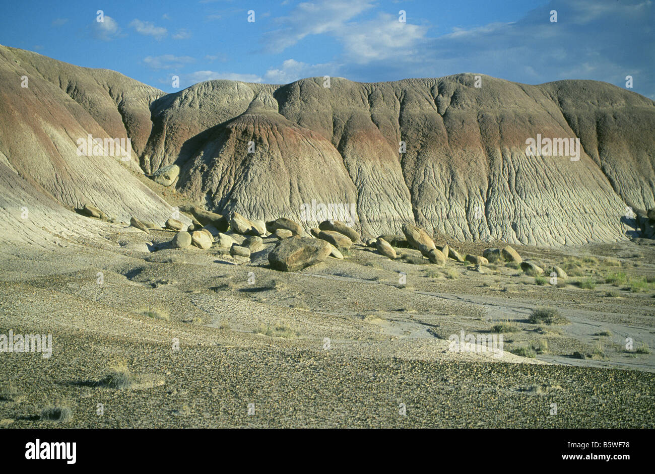 Petrified mud hi-res stock photography and images - Alamy