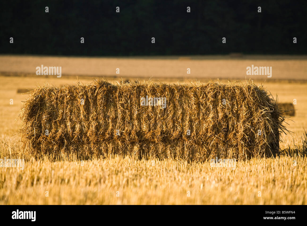 An oversized hay bail Stock Photo - Alamy