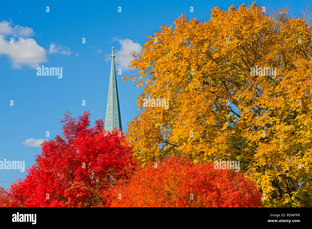 Photograph of a church steeple rising above the tree tops with leaves ...