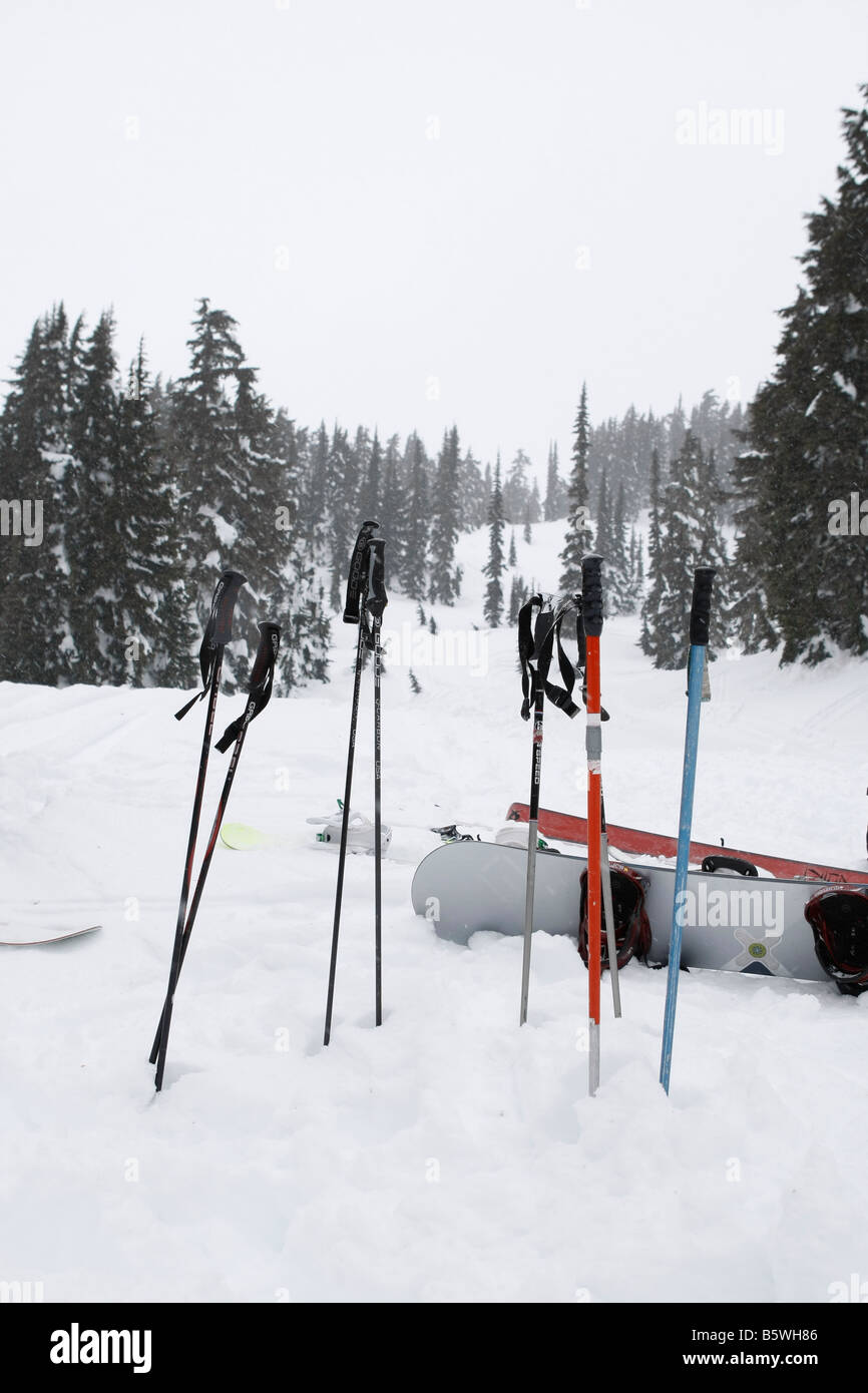 Ski pole hi-res stock photography and images - Alamy