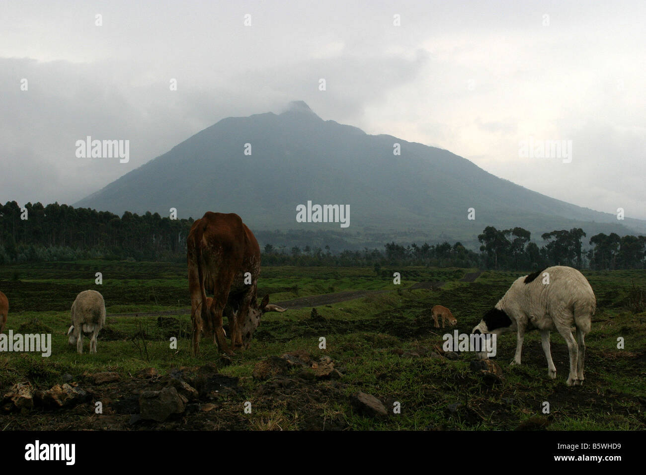Karisimbi mountain hi-res stock photography and images - Alamy