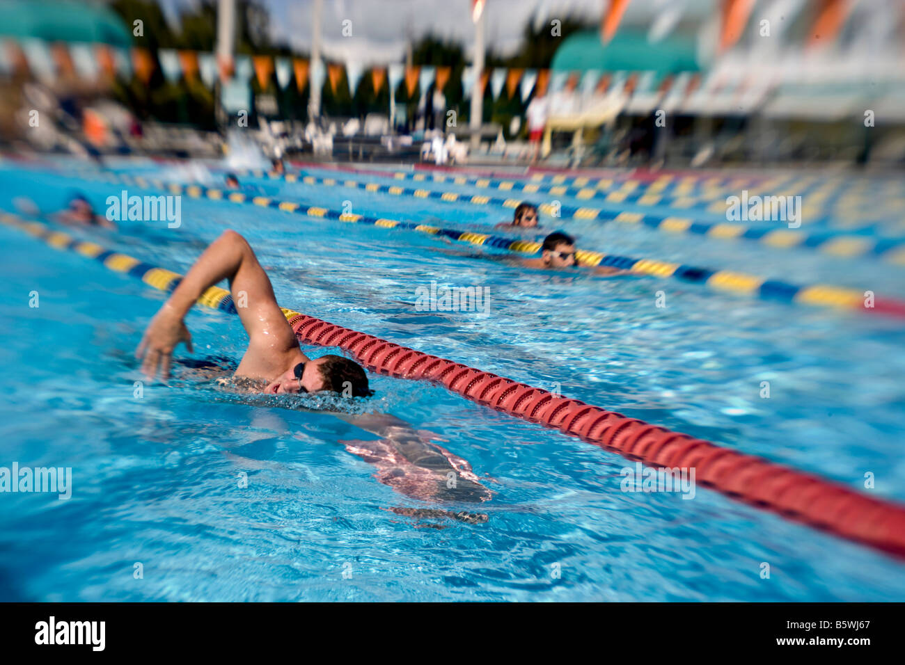 Male olympic swimming pool hi-res stock photography and images - Alamy