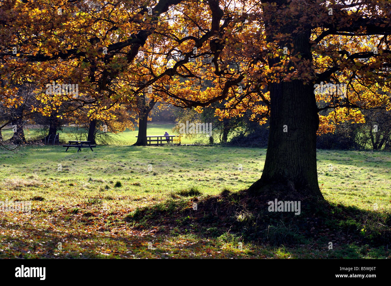 Elmdon hi-res stock photography and images - Alamy
