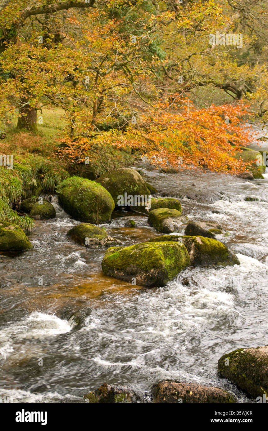 A stream running through Dartmoor National Park Stock Photo - Alamy