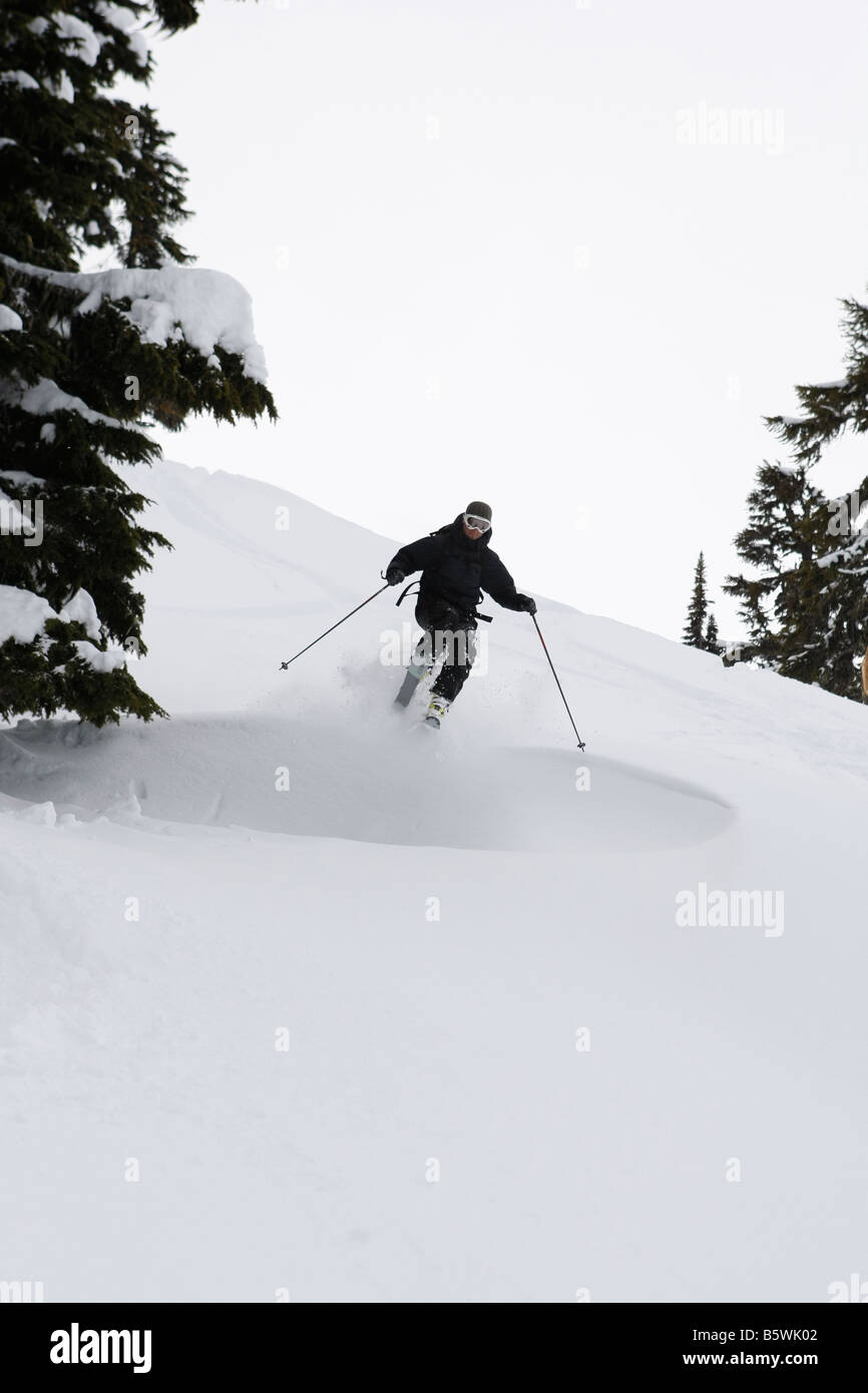 skiing backcountry powder in Whistler Stock Photo - Alamy