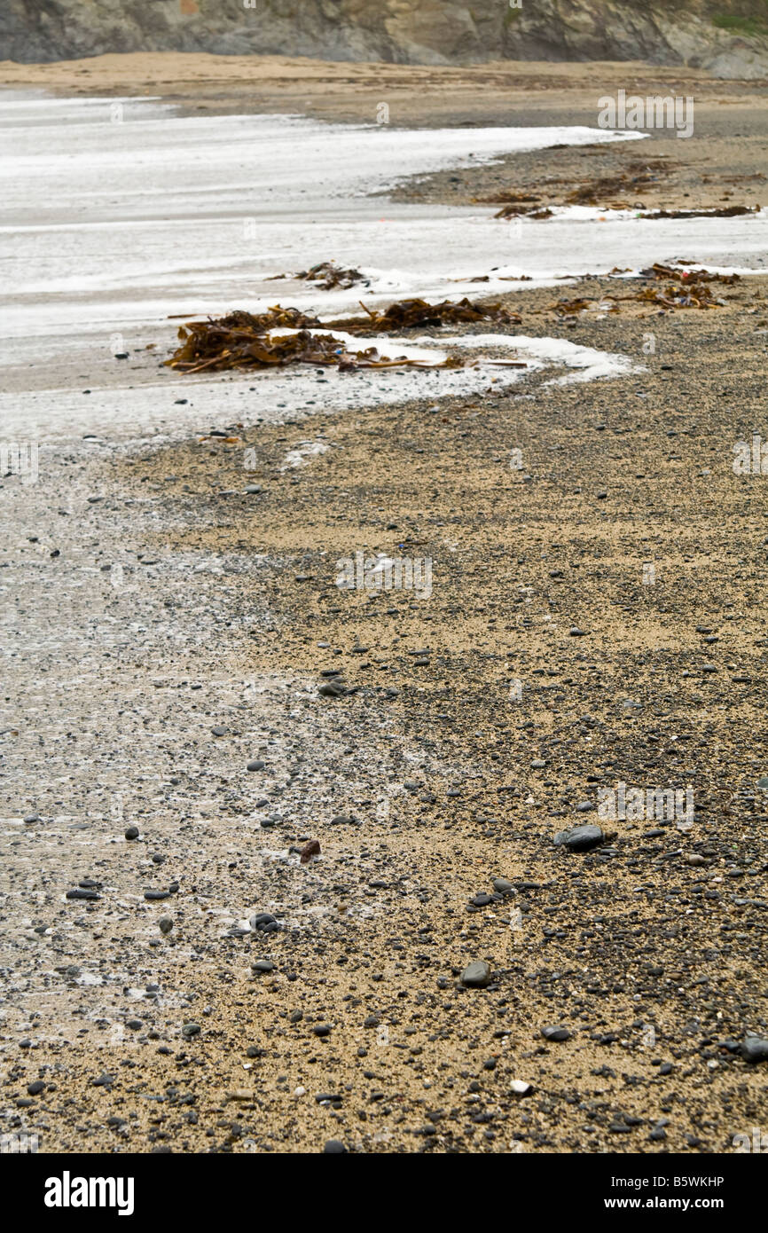 Waters edge, UK Stock Photo - Alamy