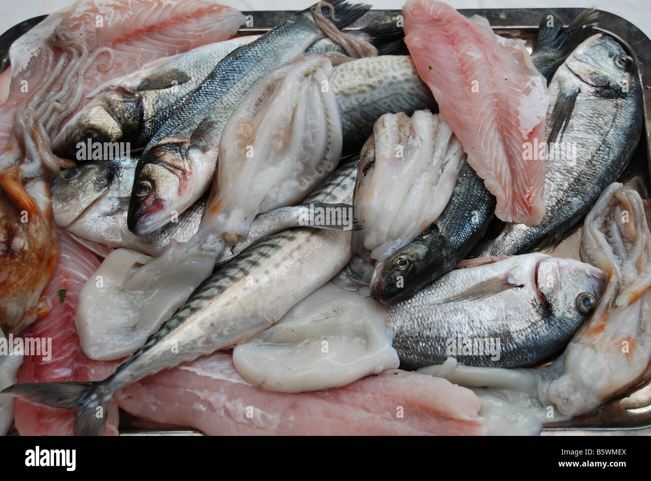 Fish welfare hi-res stock photography and images - Alamy