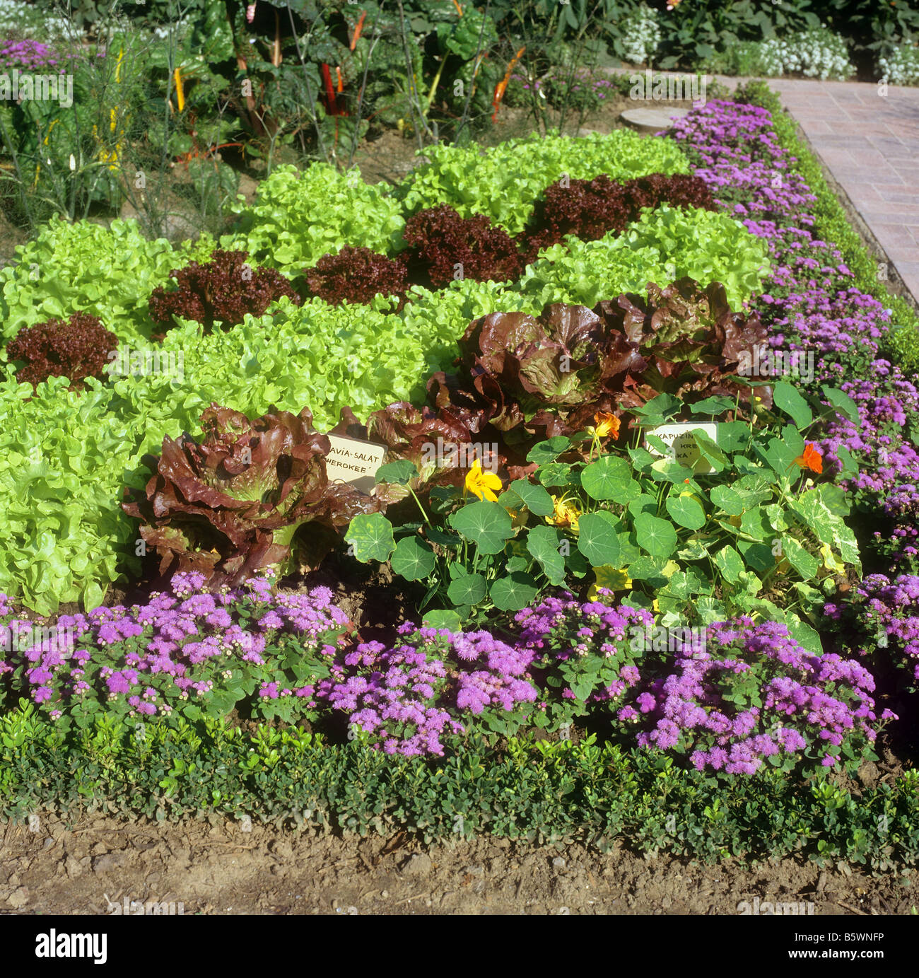 Flower and vegetable patches hi-res stock photography and images - Alamy