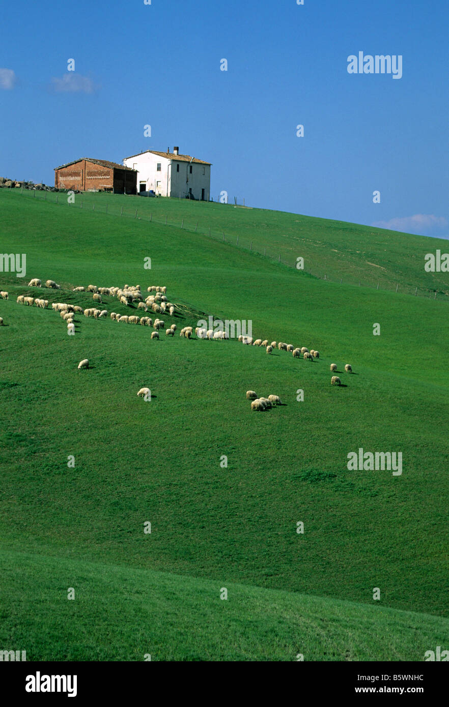 Crete Siennese country Siena Tuscany Italy Stock Photo - Alamy