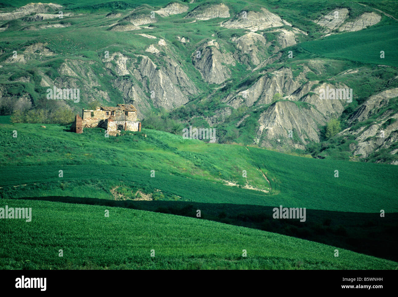 Crete Siennese country Siena Tuscany Italy Stock Photo - Alamy