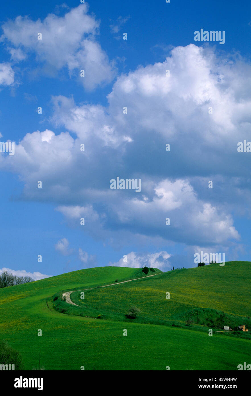 Crete Siennese country Siena Tuscany Italy Stock Photo - Alamy