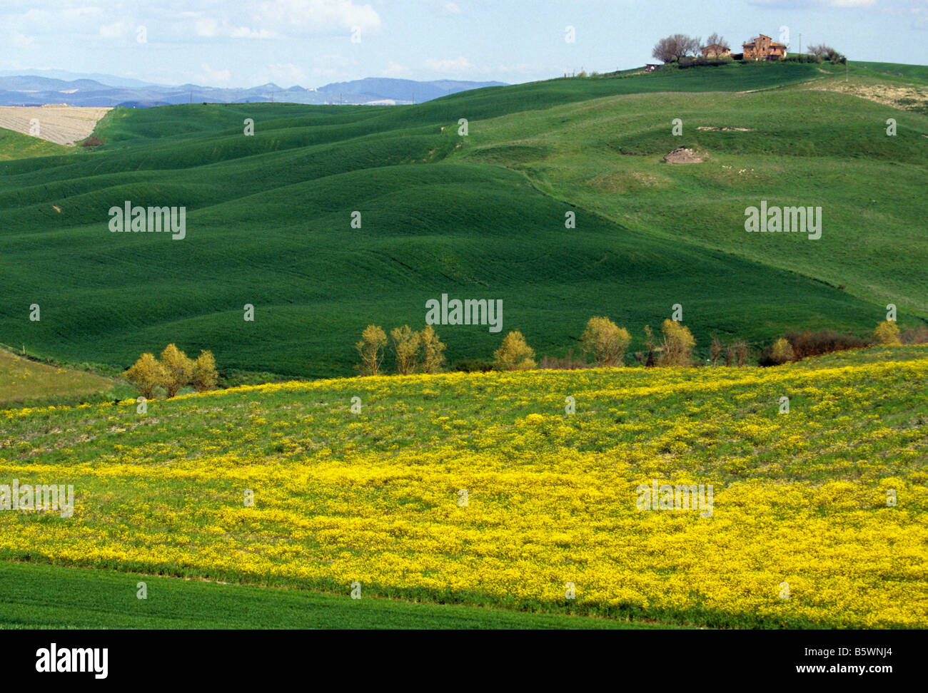 Crete Siennese country Siena Tuscany Italy Stock Photo - Alamy
