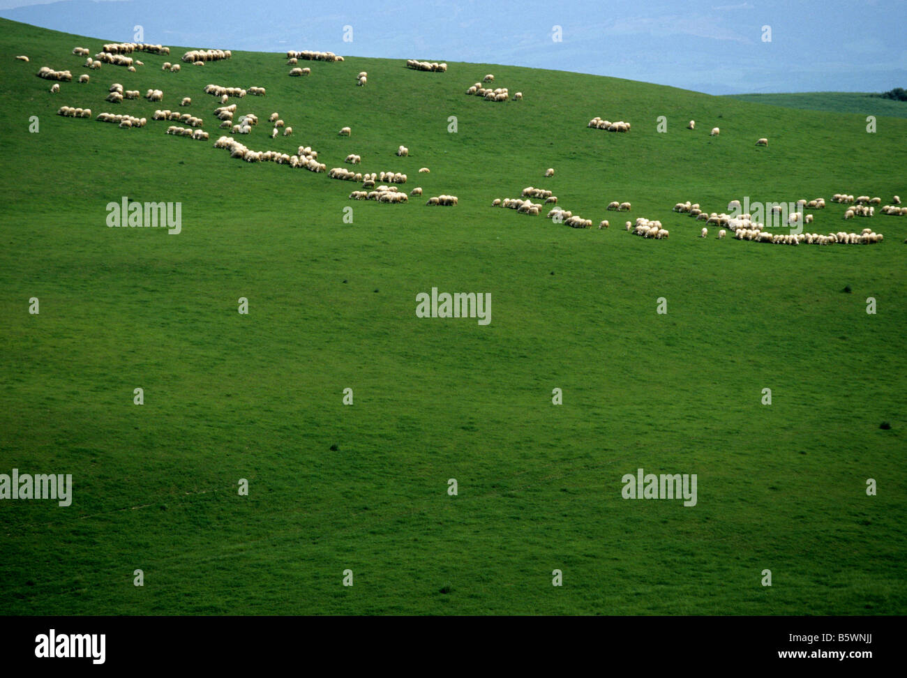 Siennese country hi-res stock photography and images - Alamy